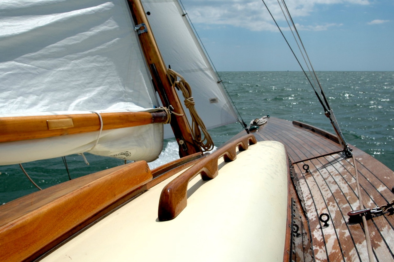 Day boat: histoire du Requin - Auto Reverse