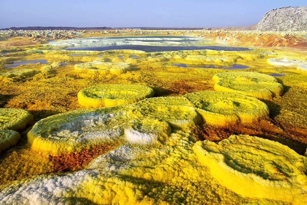 Laisser un commentaire Annuler la réponse